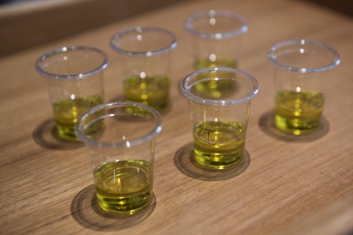 OLIO EXTRAVERGINE: IL PANEL TEST È SALVO, ACCOLTA POSIZIONE DELL'ITALIA ...