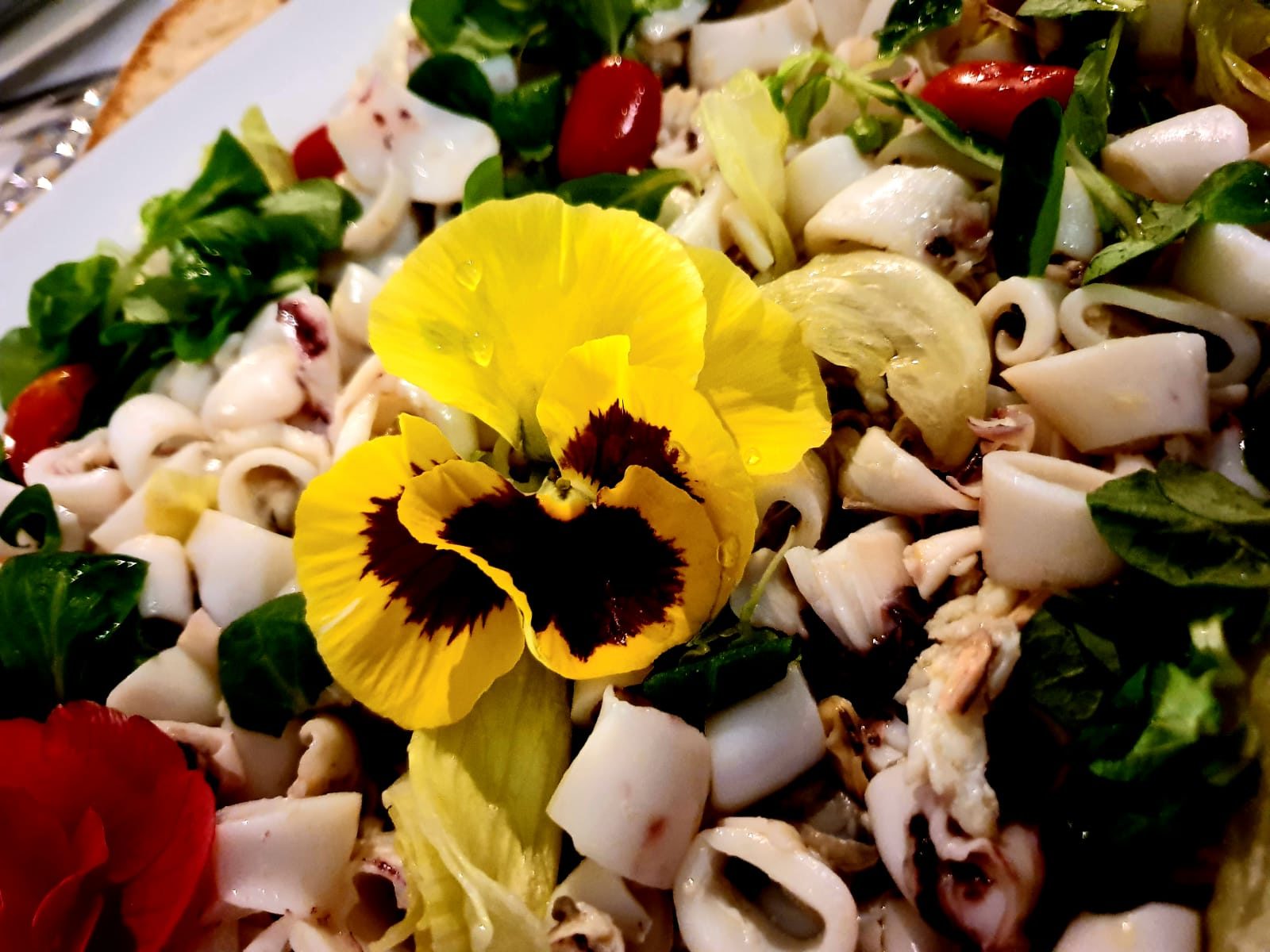 FIORI EDULI, EFFETTO SCENICO O GUSTO? LA PAROLA DELL'ESPERTO PALAZZOLI ...