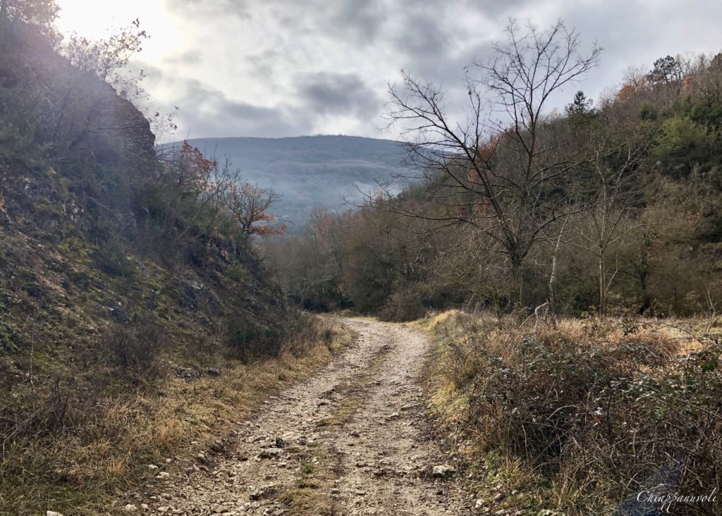 IL MONTE RUA, UNA FACILE ESCURSIONE PER UNA VISTA INSOLITA SULLA CITTÀ ...