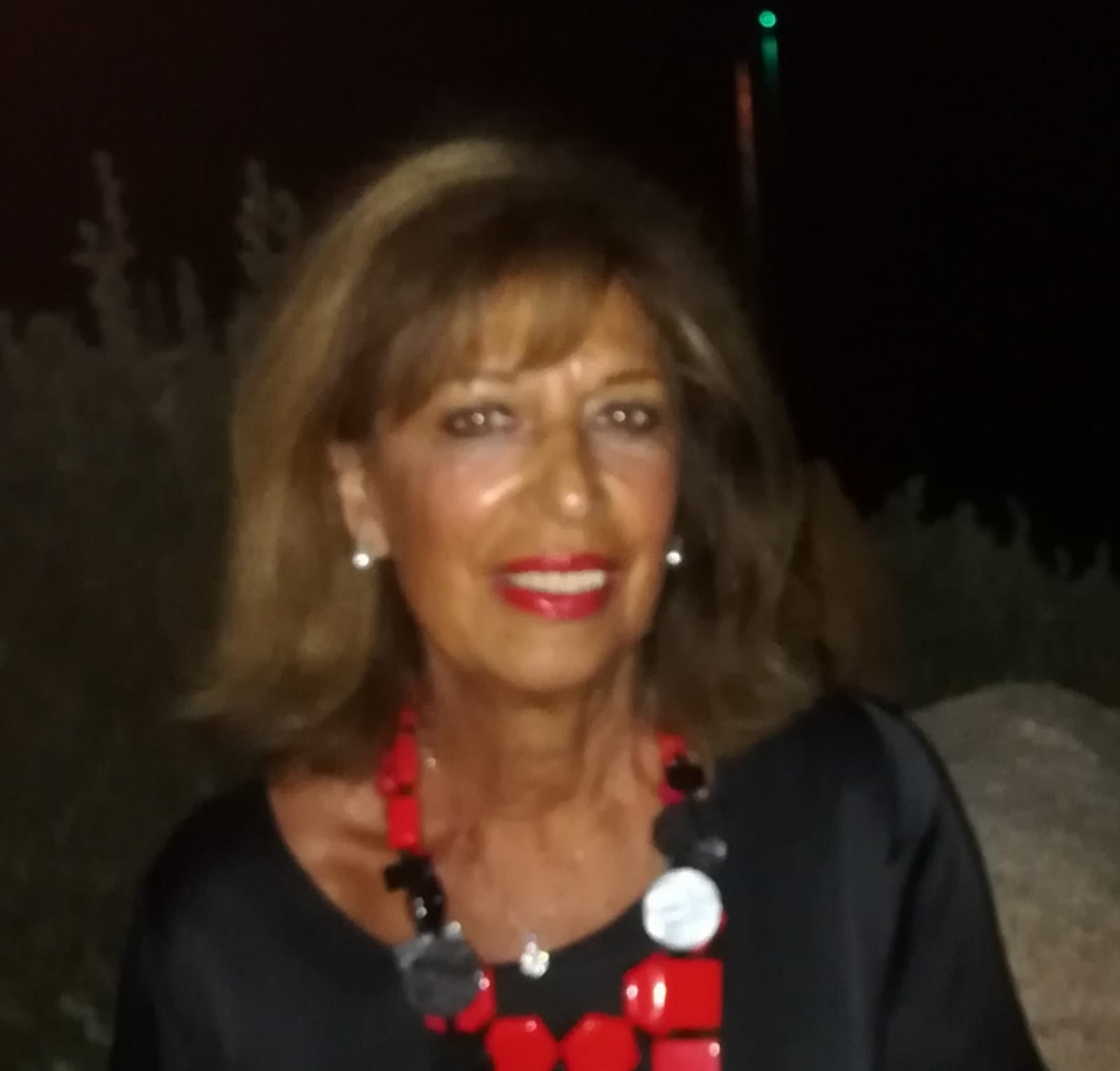 ALL'AQUILA MOSTRA PERSONALE DI PITTURA DI GIANNA TONESI - Virtù ...