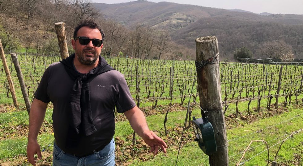Dai Baci Perugina alla vigna, la storia e "I vini di Preggio" di Carlo ...